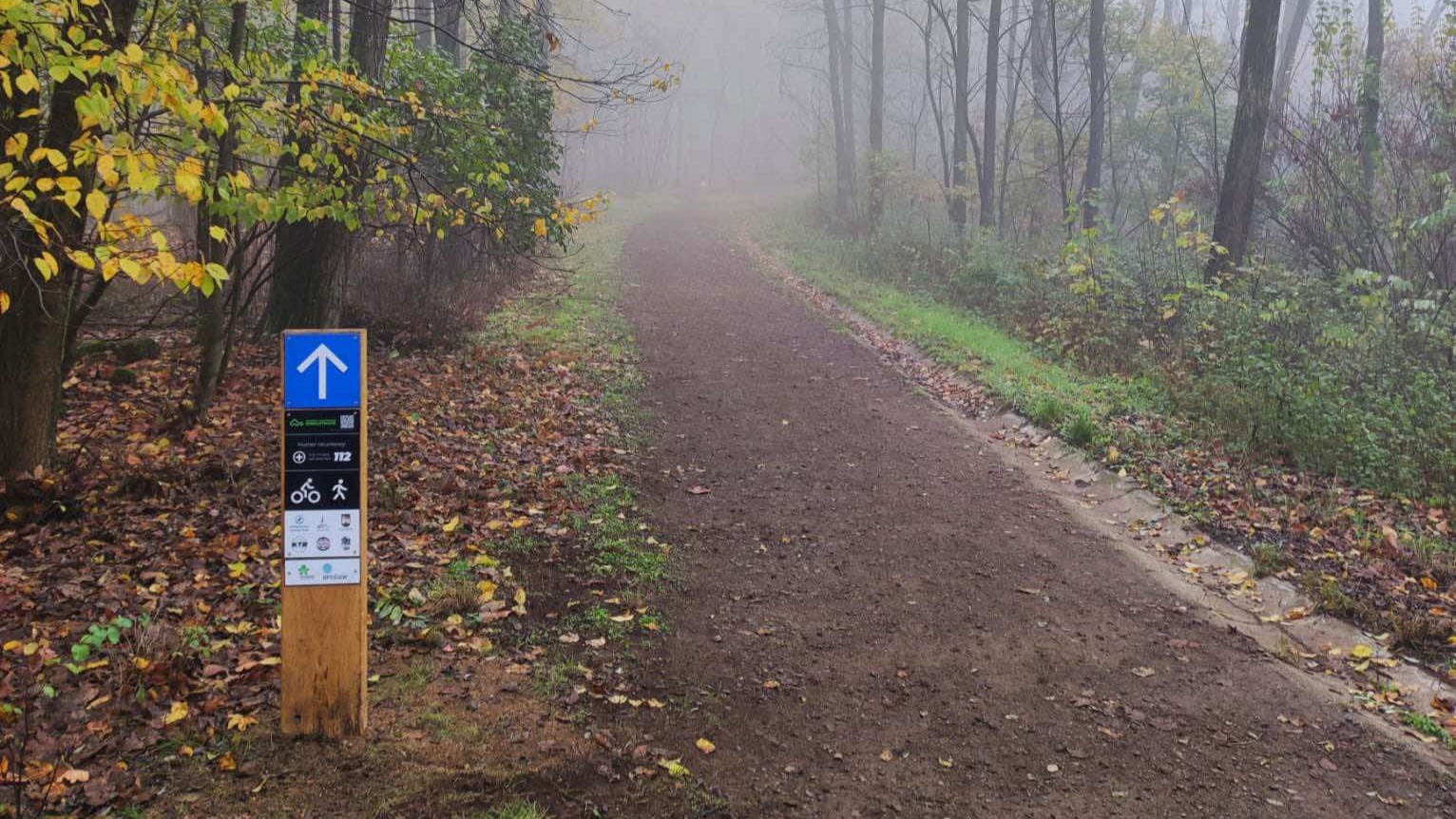 Single Track Zielona Góra Wzgórza Piastowskie – nowe trasy już otwarte ...